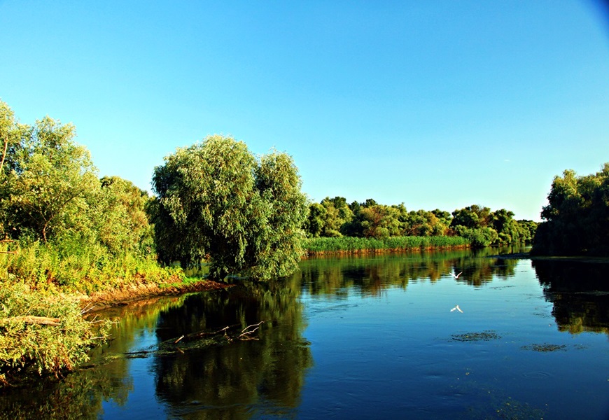 Excursie la Padurea Caraorman - 8 ore - Plimbări în Delta Dunării